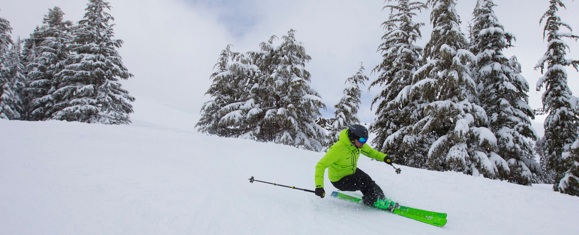 Ski Depot / RaceSkis.com