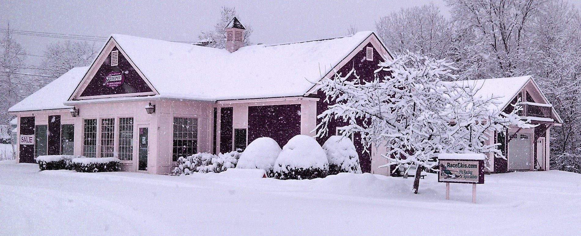 Ski Depot / RaceSkis.com